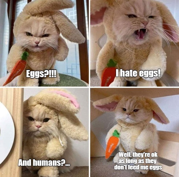 Mittens Attempt At Being An Easter Mascot Was Short Lived - Lolcats ...