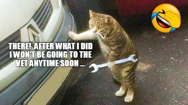 Fixed - Lolcats - lol | cat memes | funny cats | funny cat pictures ...