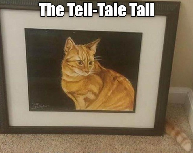 With Further Apologies to E. A. Poe - Lolcats - lol | cat memes | funny ...