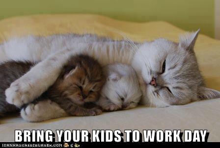 BRING YOUR KIDS TO WORK DAY - Lolcats - lol | cat memes | funny cats ...