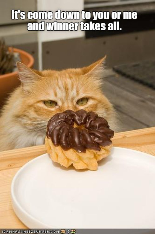 Winner takes it all - Lolcats - lol | cat memes | funny cats | funny ...