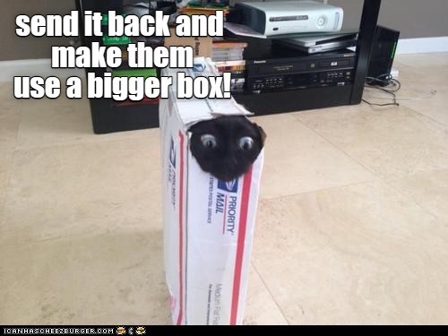 Send it back - Lolcats - lol | cat memes | funny cats | funny cat ...