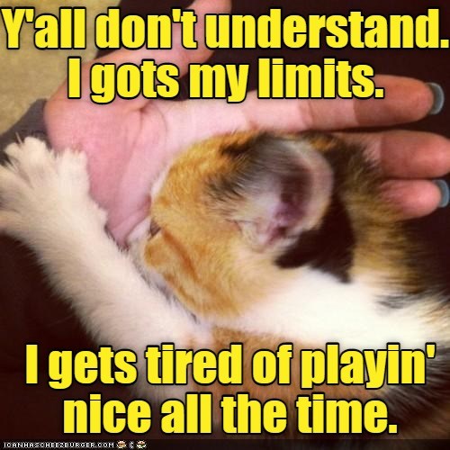 I'm done, so send in the claws - Lolcats - lol | cat memes | funny cats ...