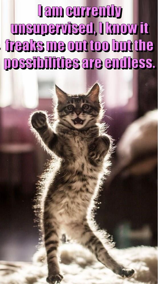 The possibilities are endless. - Lolcats - lol | cat memes | funny cats ...