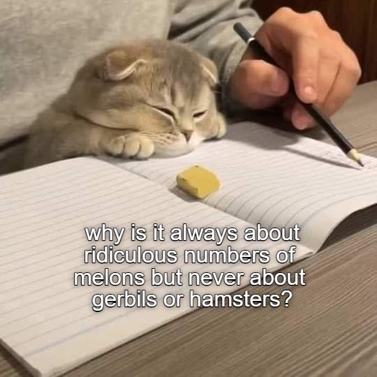 Number of questions - Lolcats - lol | cat memes | funny cats | funny ...