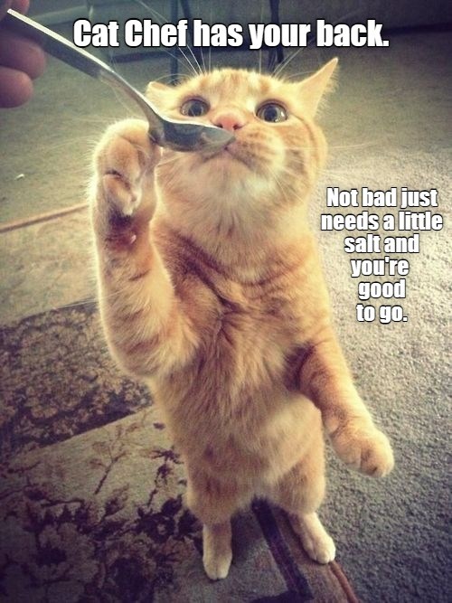 Chef. Master - Lolcats - lol | cat memes | funny cats | funny cat ...