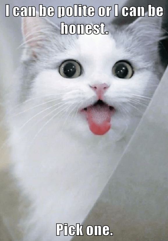 Lolcats - Page 8 - LOL at Funny Cat Memes - Funny cat pictures with ...