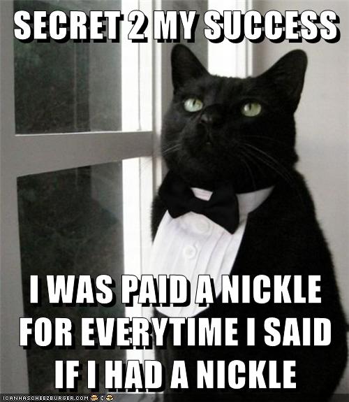 Secret 2 my success - Lolcats - lol | cat memes | funny cats | funny ...