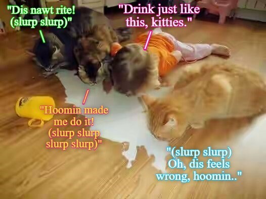 Honorable and honest kitties being taught bad lessons! - Lolcats - lol ...