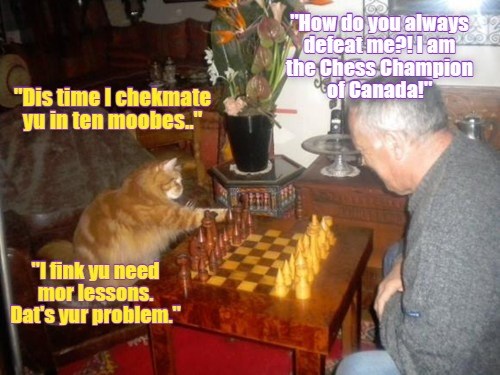 World Chess Champion Magnus Kattson puts on a dazzling display of chess ...