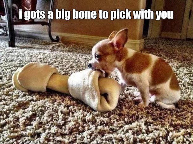 uh-oh - I Has A Hotdog - Dog Pictures - Funny pictures of dogs - Dog ...