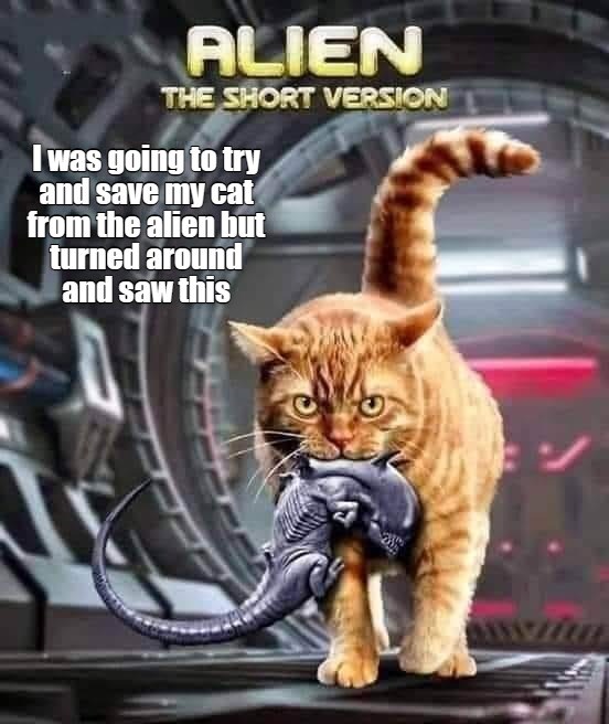 Thanks Anyway Ripley, But I Got This - Lolcats - lol | cat memes ...