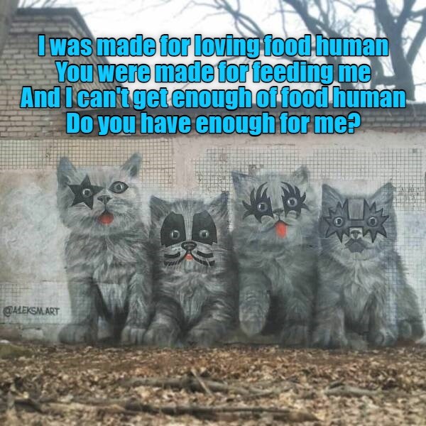 I was made for loving food - Lolcats - lol | cat memes | funny cats ...