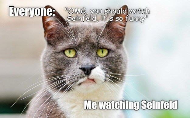 Uhhh...No, It's Not - Lolcats - lol | cat memes | funny cats | funny ...