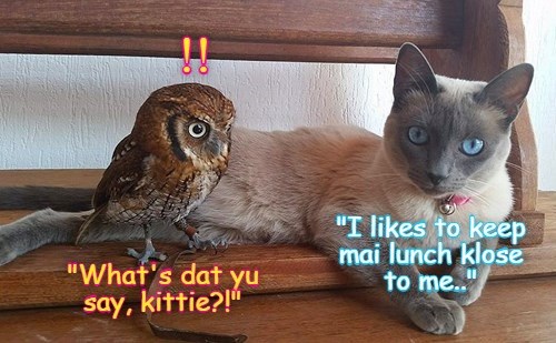 As the clock moves ever closer to noon, there is much anticipation ...