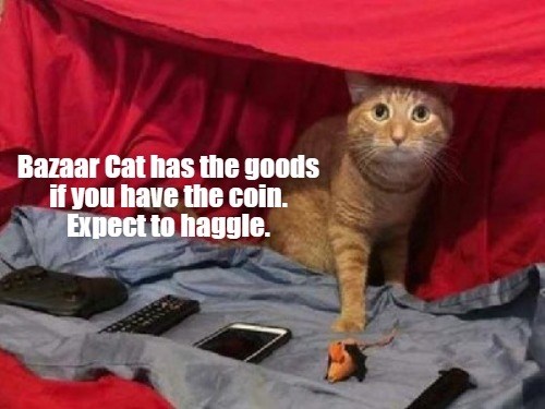 An essential step in your quest. - Lolcats - lol | cat memes | funny ...