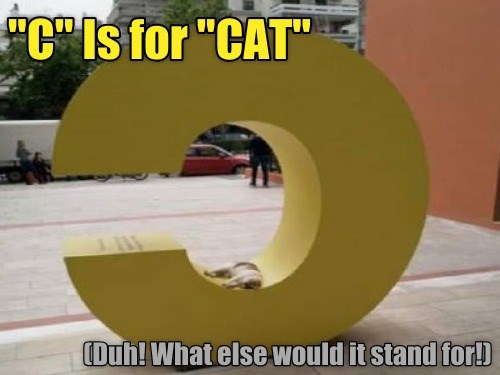 Alpha-Cat Sez: - Lolcats - lol | cat memes | funny cats | funny cat ...