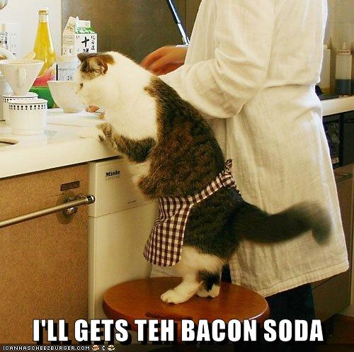 I'LL GETS TEH BACON SODA - Lolcats - lol | cat memes | funny cats ...