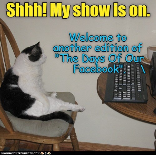 Modern Day Soap Opera - Lolcats - lol | cat memes | funny cats | funny ...