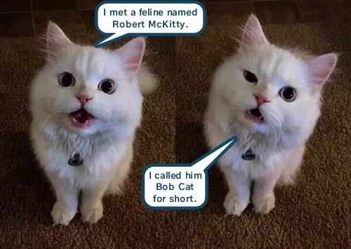 Origins - Lolcats - lol | cat memes | funny cats | funny cat pictures ...