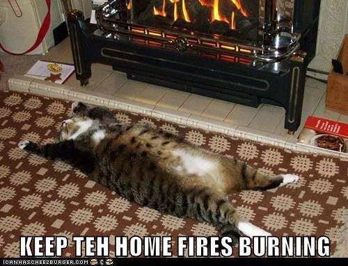 KEEP TEH HOME FIRES BURNING - Lolcats - lol | cat memes | funny cats ...