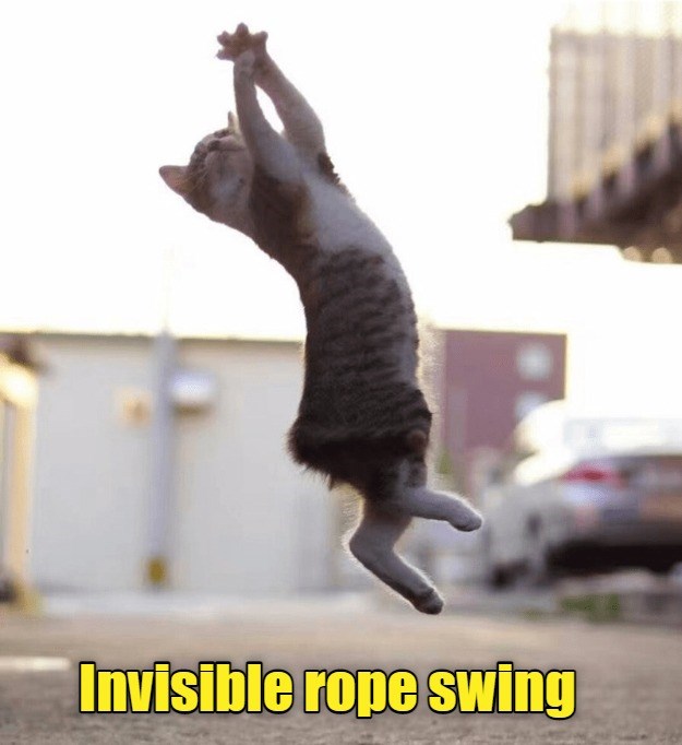 Hold Tight Lolcats Lol Cat Memes Funny Cats Funny Cat Pictures With Words On Them