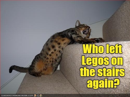 The agony of de feet. - Lolcats - lol | cat memes | funny cats | funny ...