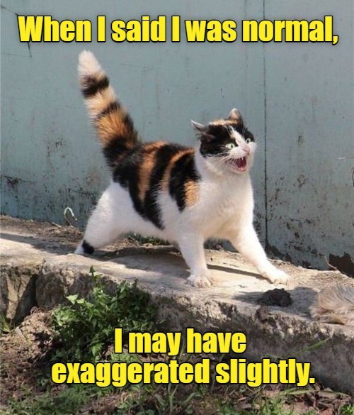 Define slightly - Lolcats - lol | cat memes | funny cats | funny cat ...