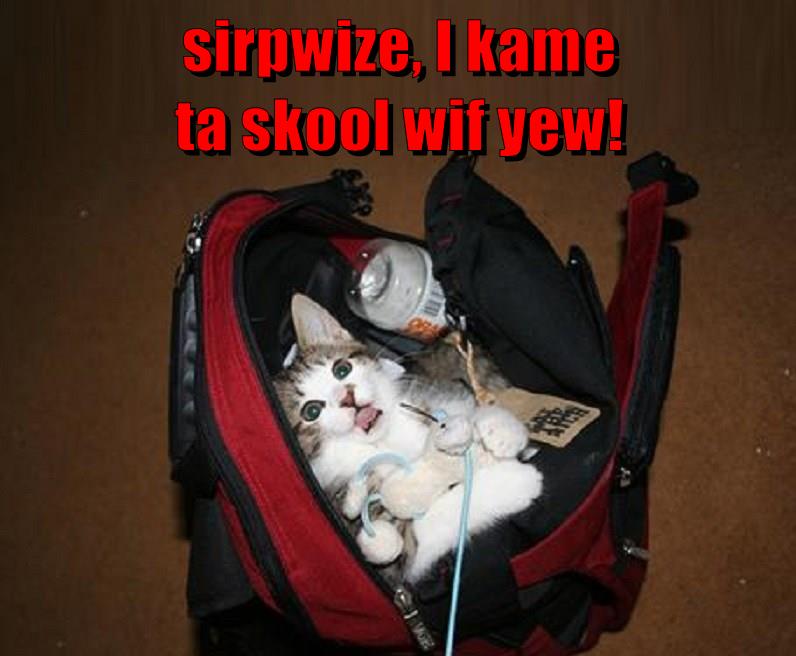 Lolcats - Page 3 - LOL at Funny Cat Memes - Funny cat pictures with ...