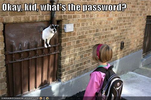 Okay, kid, what's the password? - Lolcats - lol | cat memes | funny ...