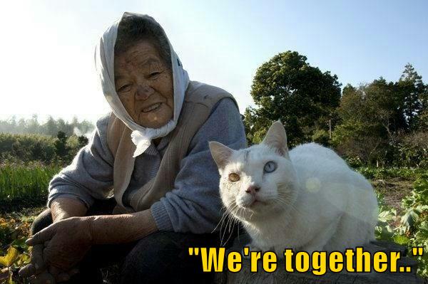 "We're together.." - Lolcats - lol | cat memes | funny cats | funny cat ...