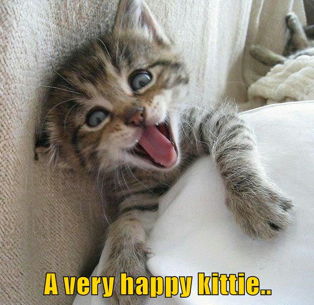 A very happy kittie.. - Lolcats - lol | cat memes | funny cats | funny ...