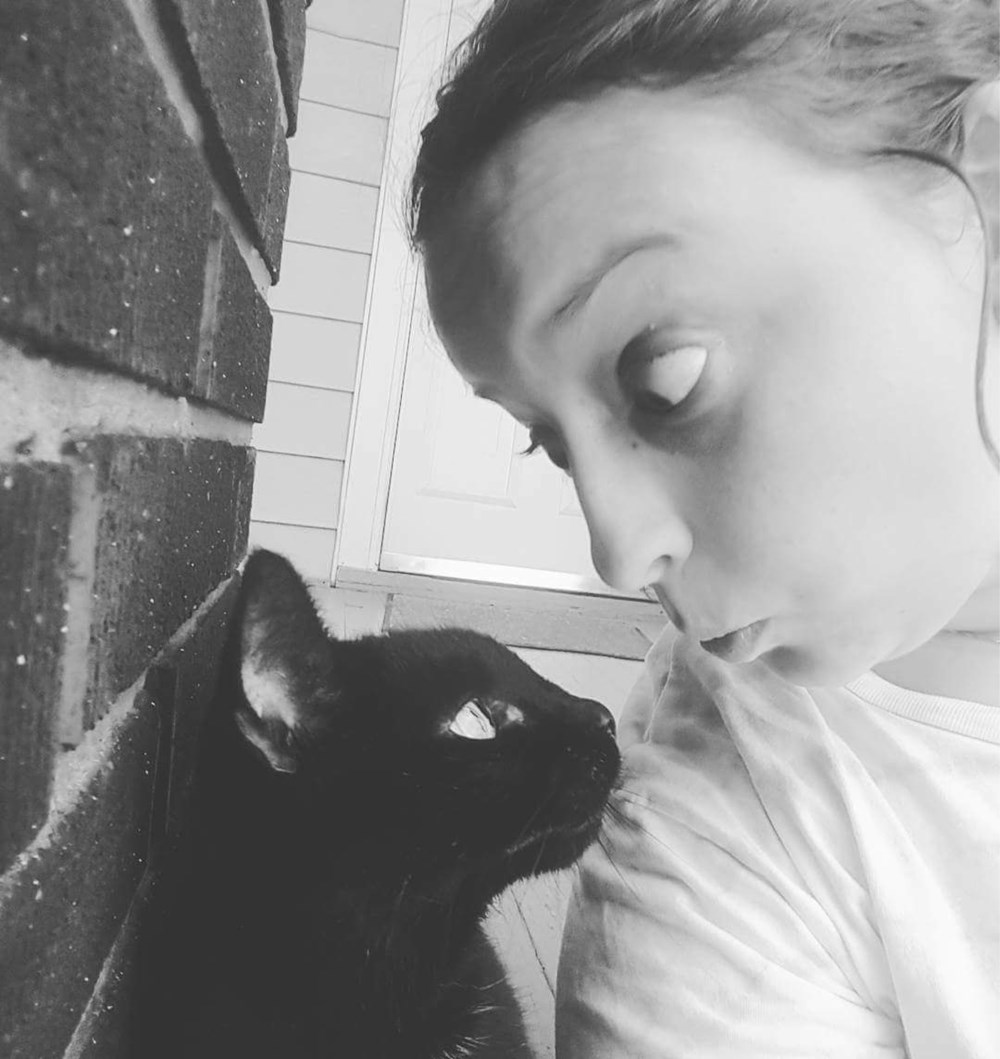 Stand-off - Lolcats - lol | cat memes | funny cats | funny cat pictures ...