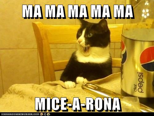 MICE-A-RONA - Lolcats - lol | cat memes | funny cats | funny cat ...