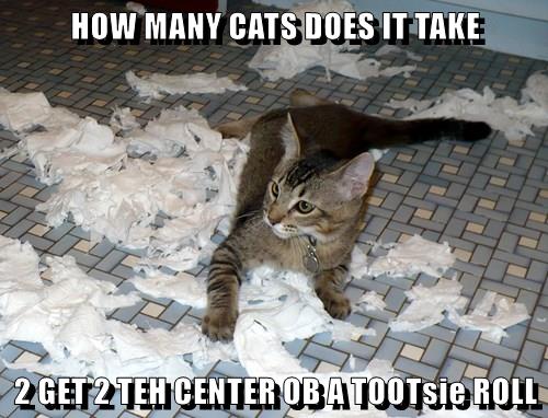HOW MANY CATS DOES IT TAKE - Lolcats - lol | cat memes | funny cats ...