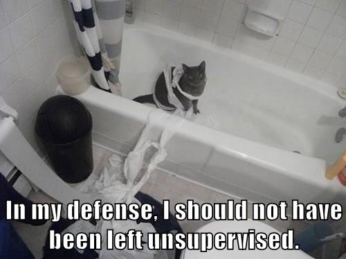 Defense line - Lolcats - lol | cat memes | funny cats | funny cat ...