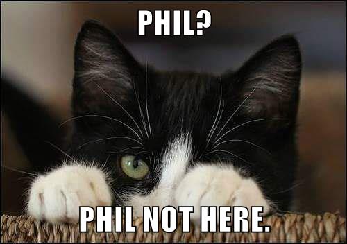 PHIL? - Lolcats - lol | cat memes | funny cats | funny cat pictures ...
