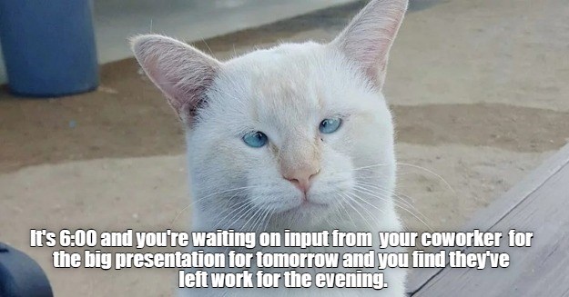 Left, right? - Lolcats - lol | cat memes | funny cats | funny cat ...