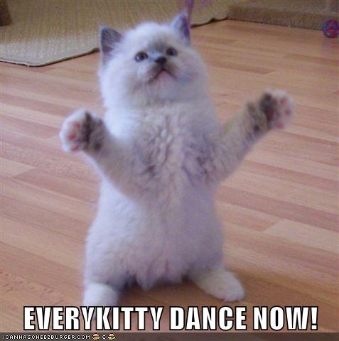EVERYKITTY DANCE NOW! - Lolcats - lol | cat memes | funny cats | funny ...