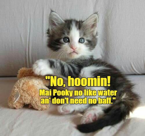 Muffy protects her Pooky from unwanted baff! - Lolcats - lol | cat ...