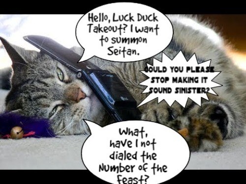 The Ritual is Performed. - Lolcats - lol | cat memes | funny cats ...