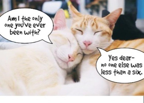 This relationship's days are numbered. - Lolcats - lol | cat memes ...