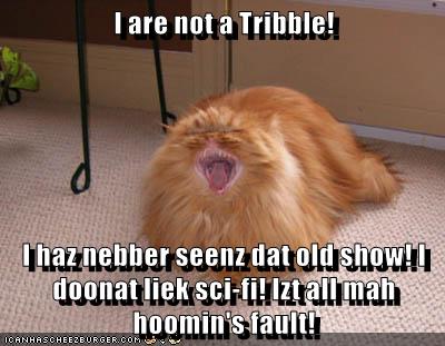 I are not a Tribble! - Lolcats - lol | cat memes | funny cats | funny ...
