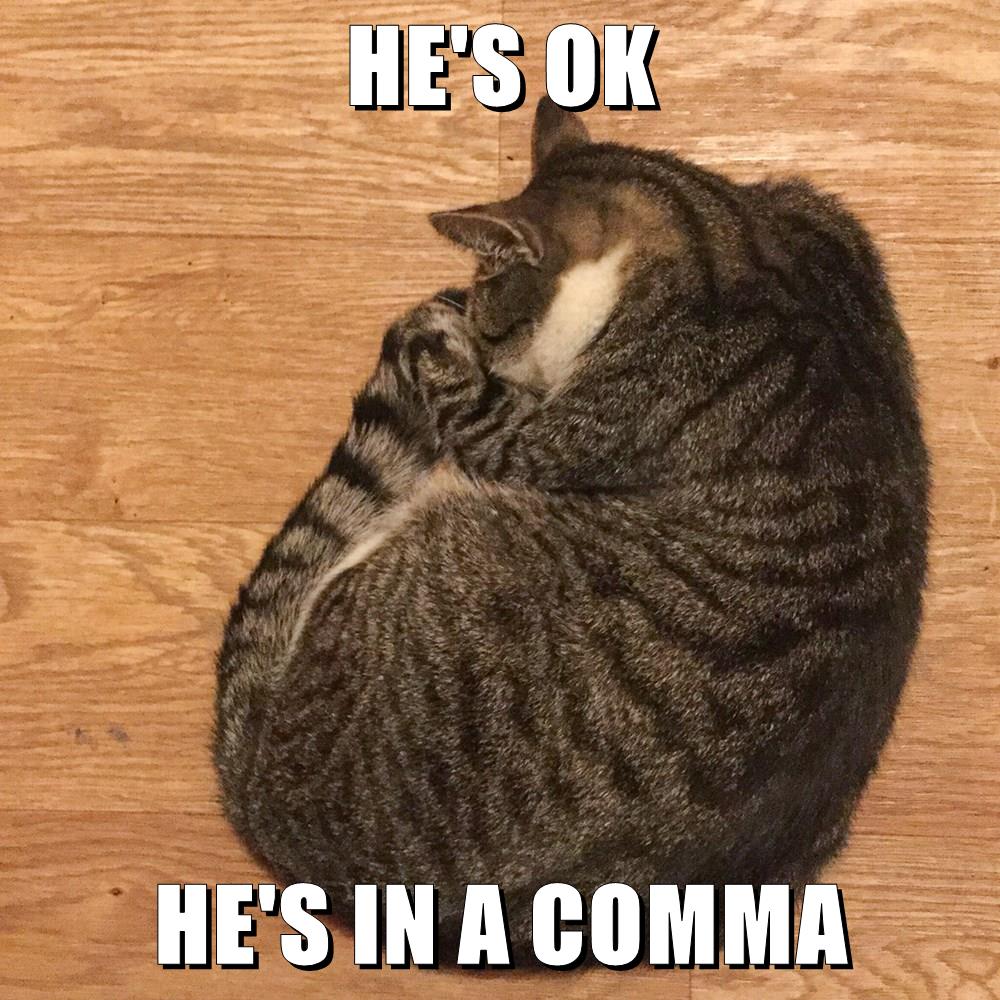 HE'S OK - Lolcats - lol | cat memes | funny cats | funny cat pictures ...