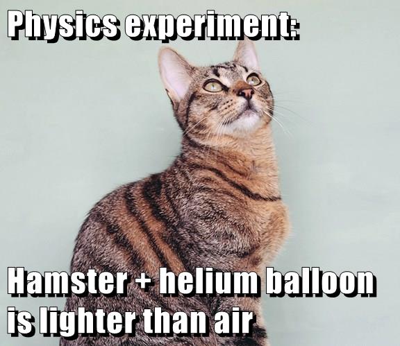 Physics experiment - Lolcats - lol | cat memes | funny cats | funny cat ...