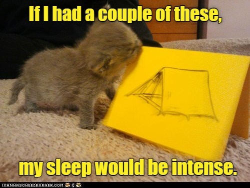 Read it again slowly for full effect. - Lolcats - lol | cat memes ...