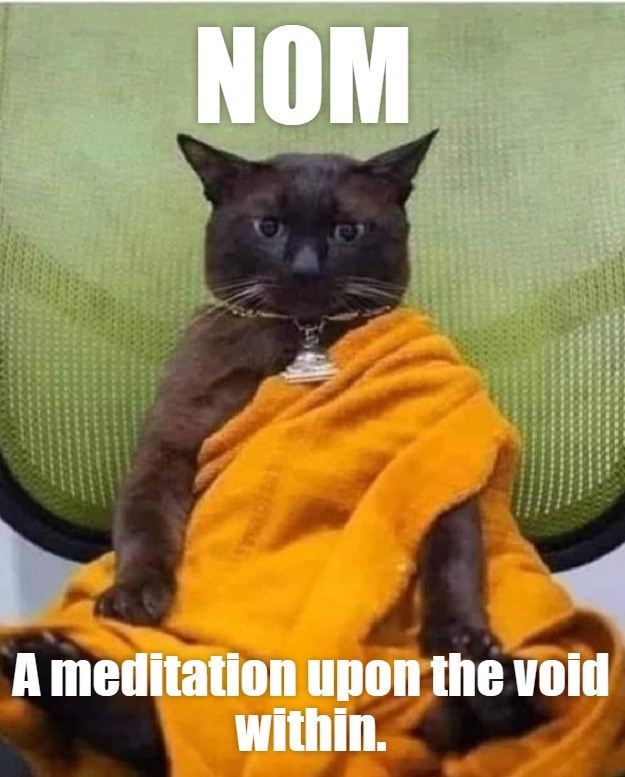 Zen Cat is one with the void. - Lolcats - lol | cat memes | funny cats ...