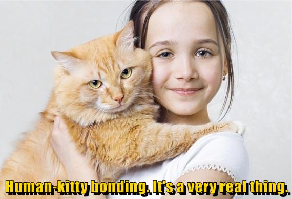 It's a very real thing. - Lolcats - lol | cat memes | funny cats ...