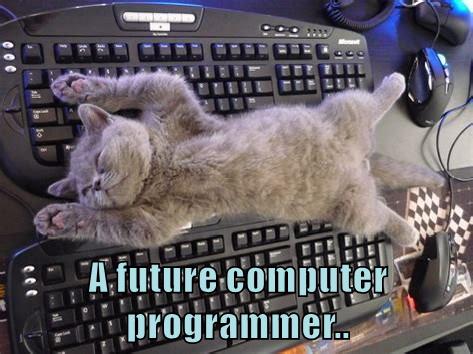 A future computer programmer.. - Lolcats - lol | cat memes | funny cats ...