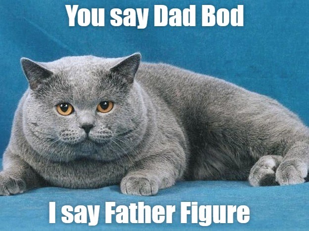 Say - Lolcats - lol | cat memes | funny cats | funny cat pictures with ...